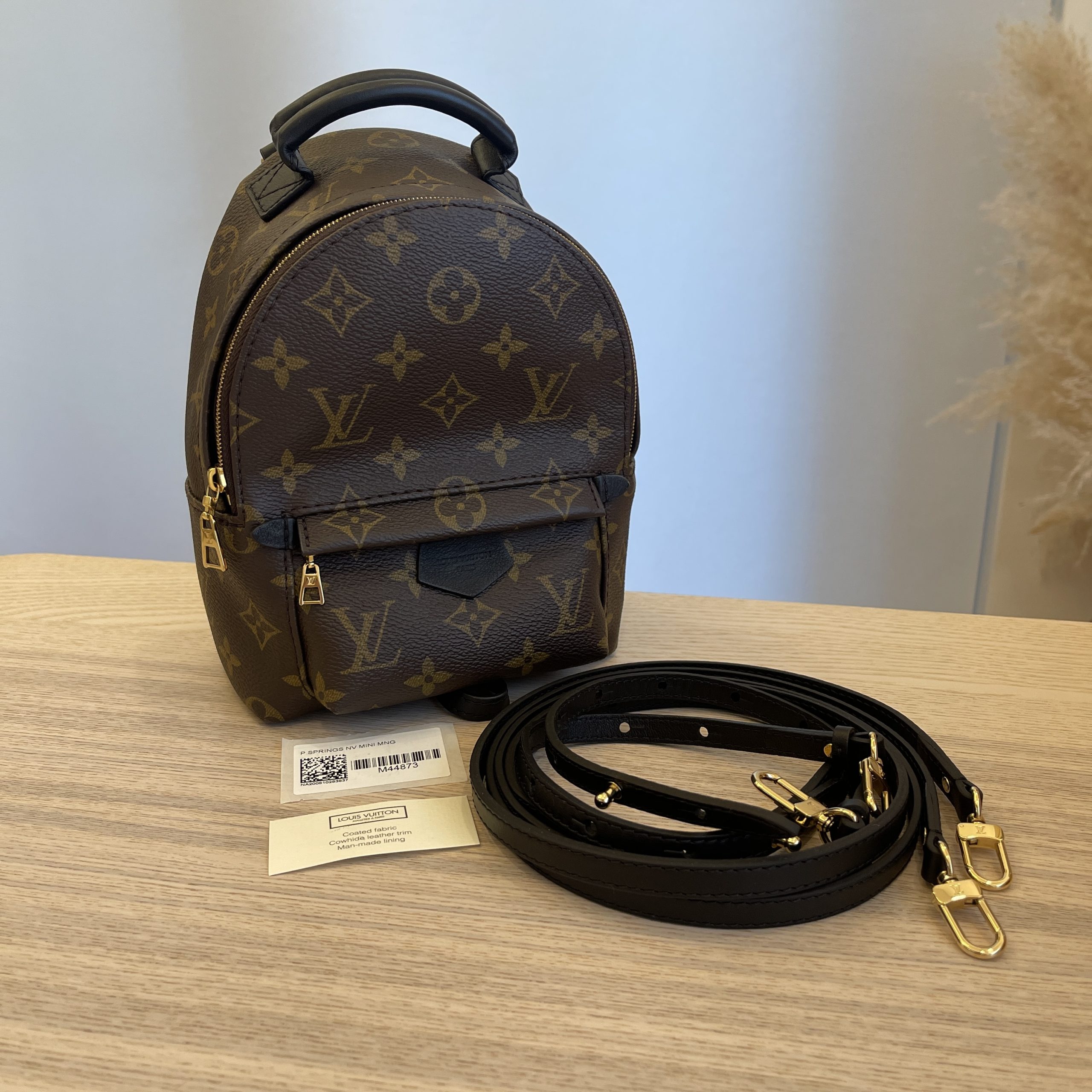 Louis Vuitton Monogram Palm Springs Mini NV